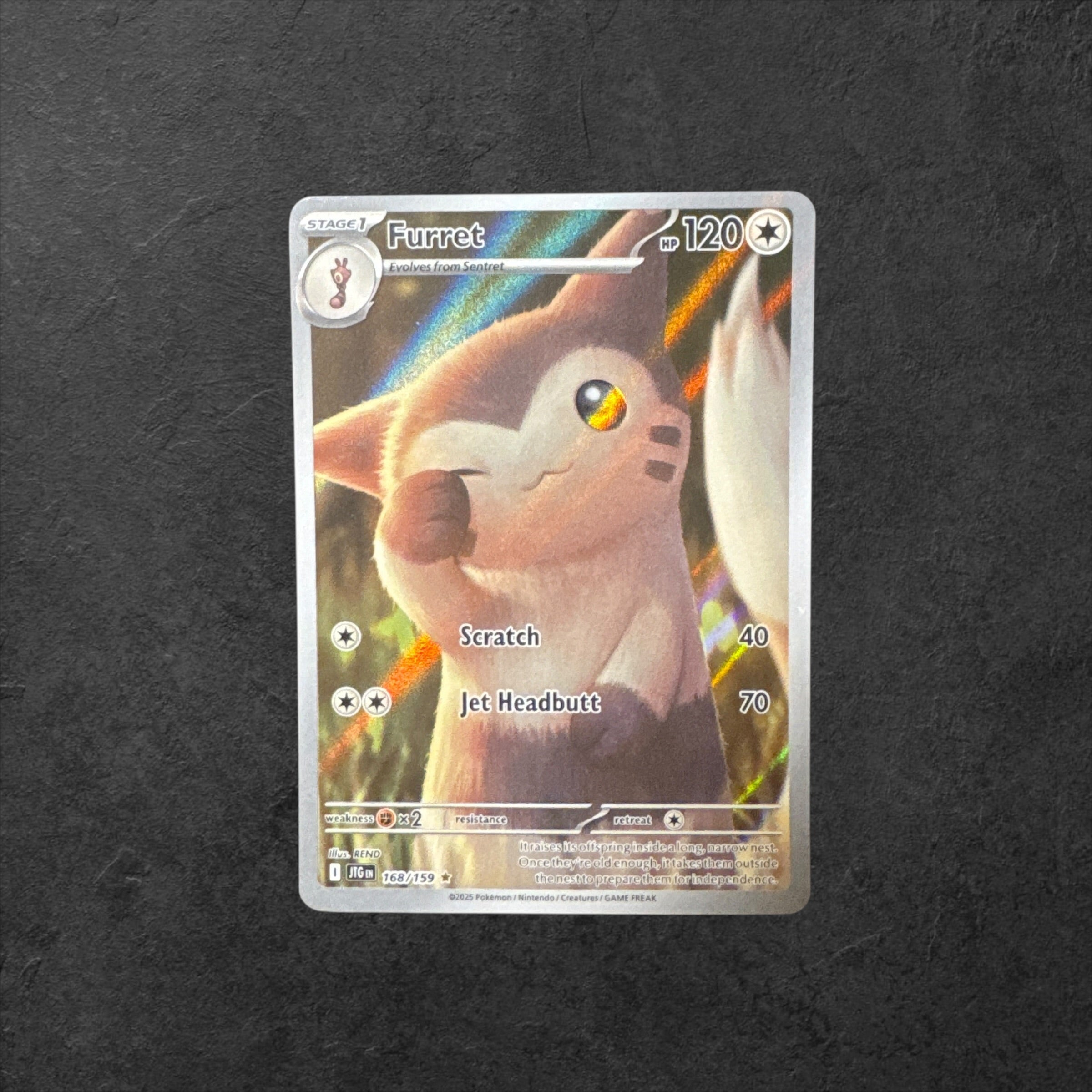 Furret | #168| NM | Journey Together | English | 2025 – Lakeof_Rage